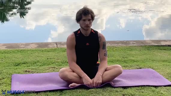 MuscleWiki - Simplify your workout