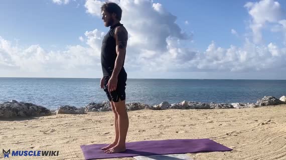 MuscleWiki - Simplify your workout