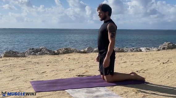 MuscleWiki - Simplify your workout