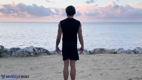 MuscleWiki - Simplify your workout