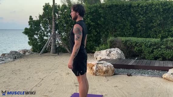 MuscleWiki - Simplify your workout