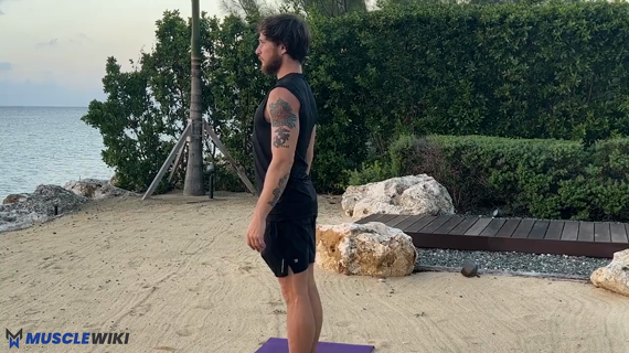 MuscleWiki - Simplify your workout