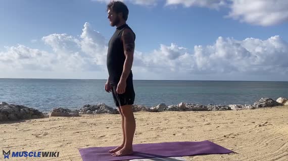 MuscleWiki - Simplify your workout