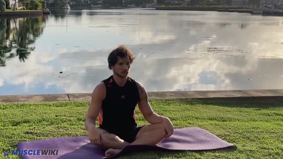 MuscleWiki - Simplify your workout