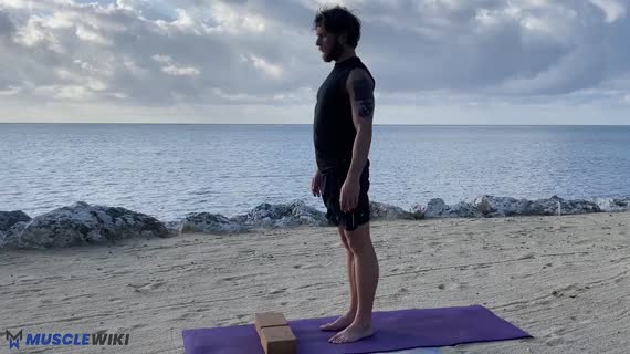 MuscleWiki - Standing Forward Bend Blocks - Hamstrings