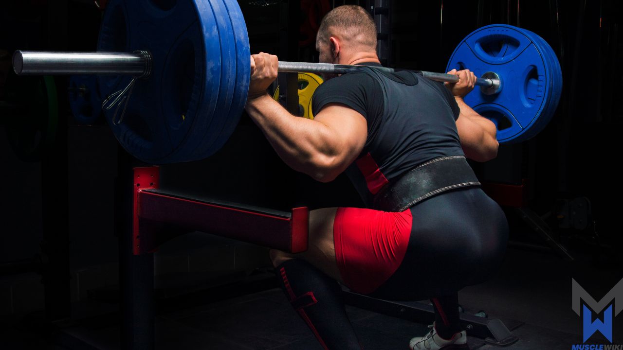 Powerbuilding Routine - MuscleWiki Routines