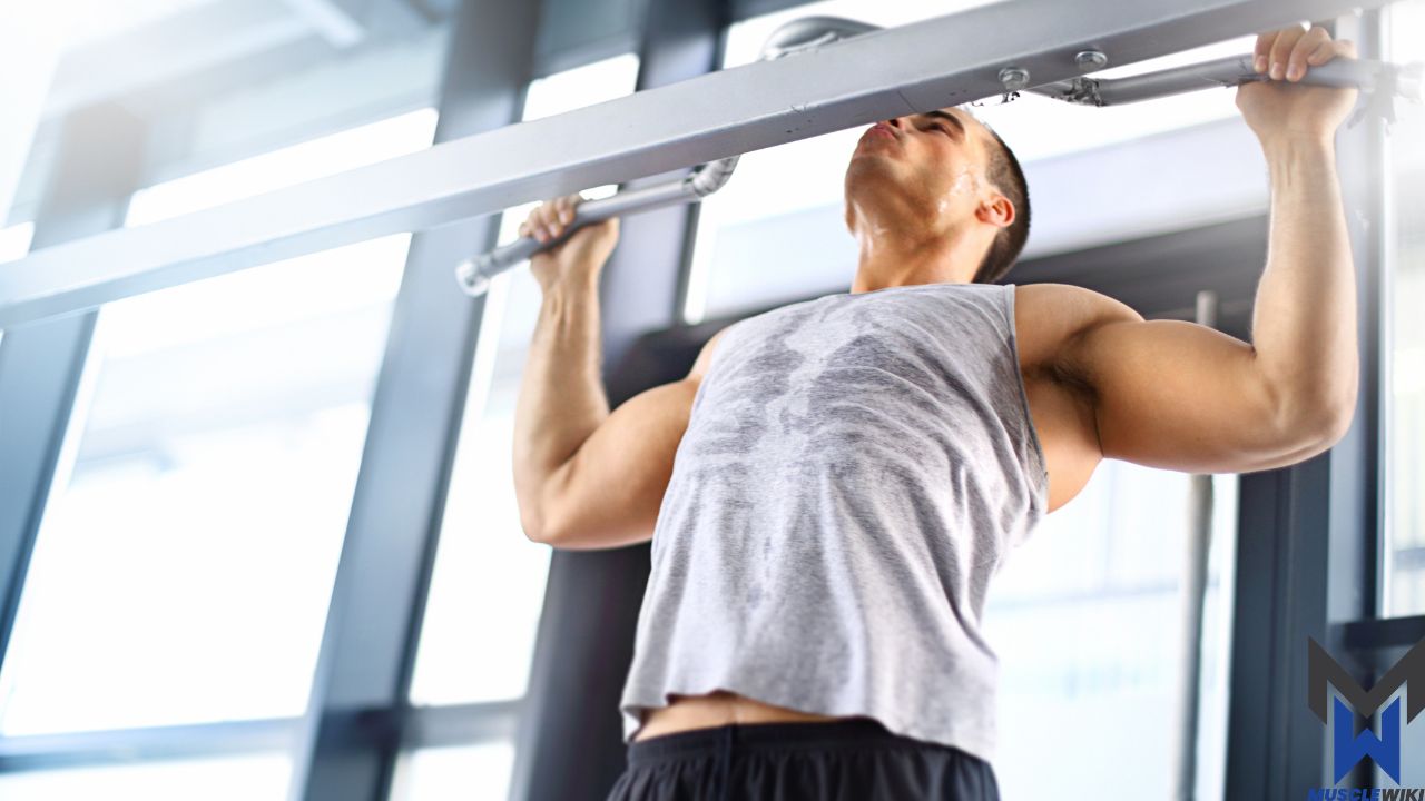 Advanced Push, Pull, Legs Routine - MuscleWiki Routines