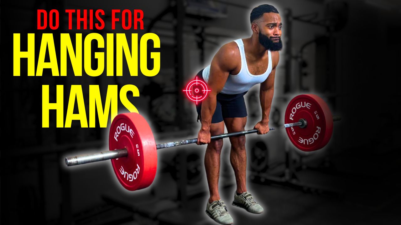 MuscleWiki - Simplify your workout