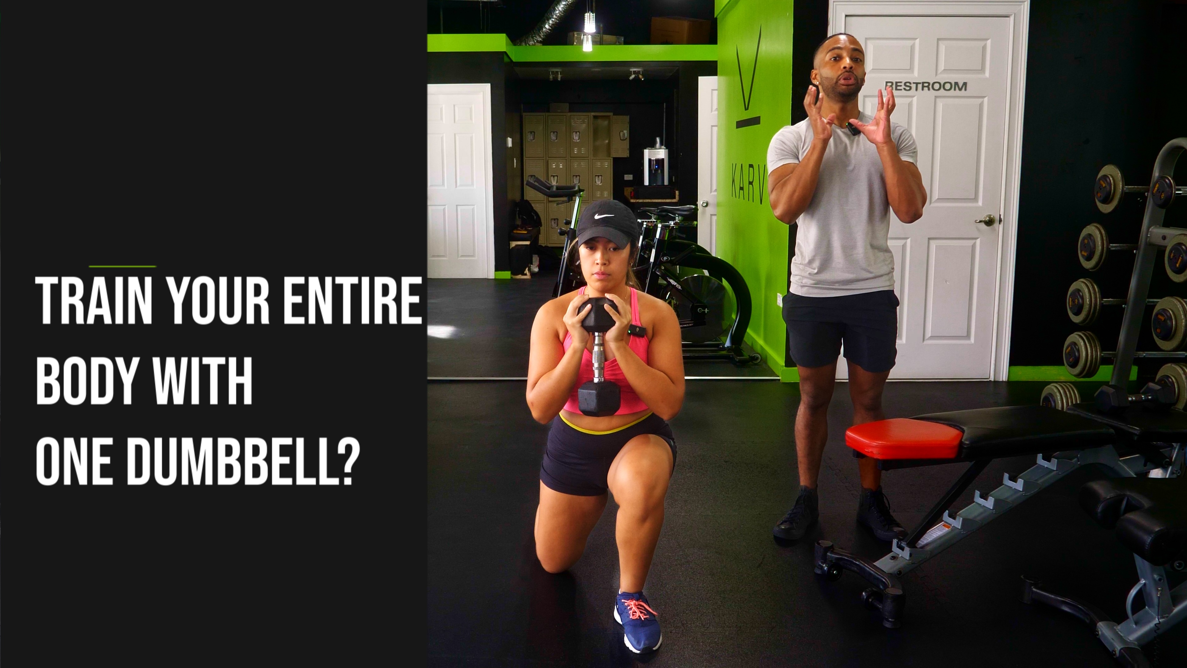 MuscleWiki - Simplify your workout