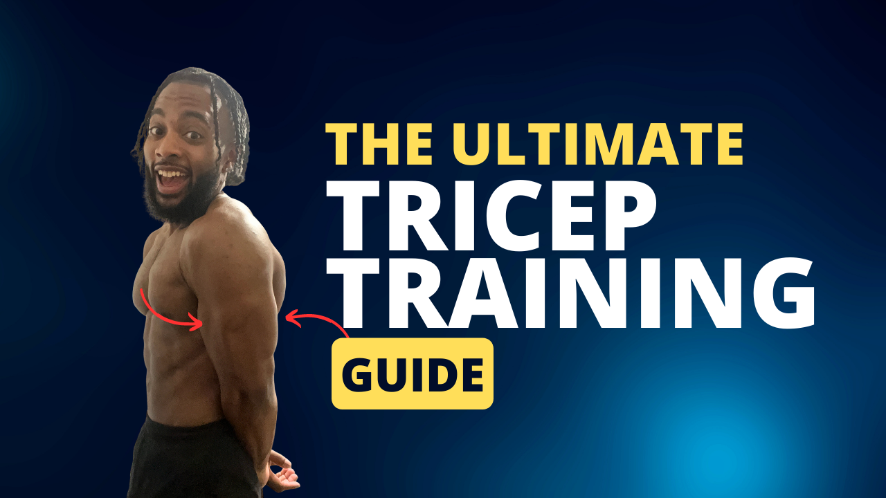 MuscleWiki - Simplify Your Workout