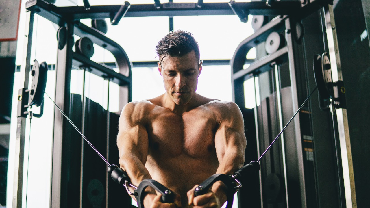 MuscleWiki - Simplify your workout