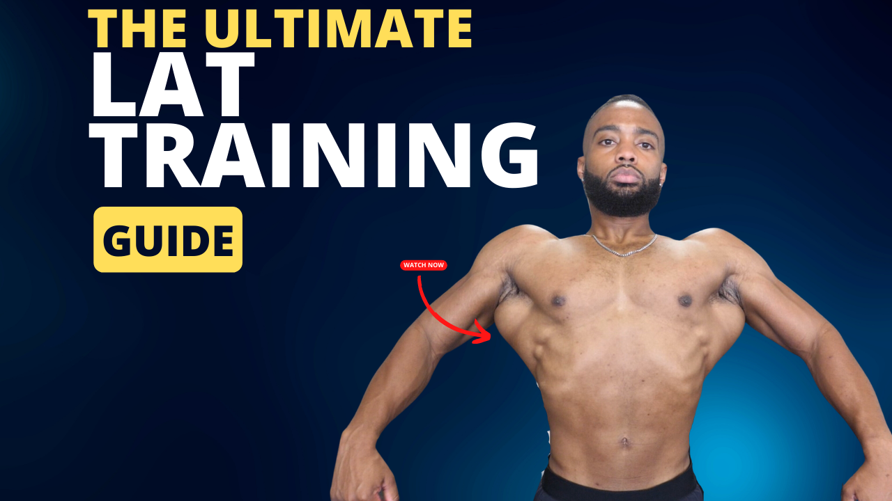 MuscleWiki - Simplify Your Workout