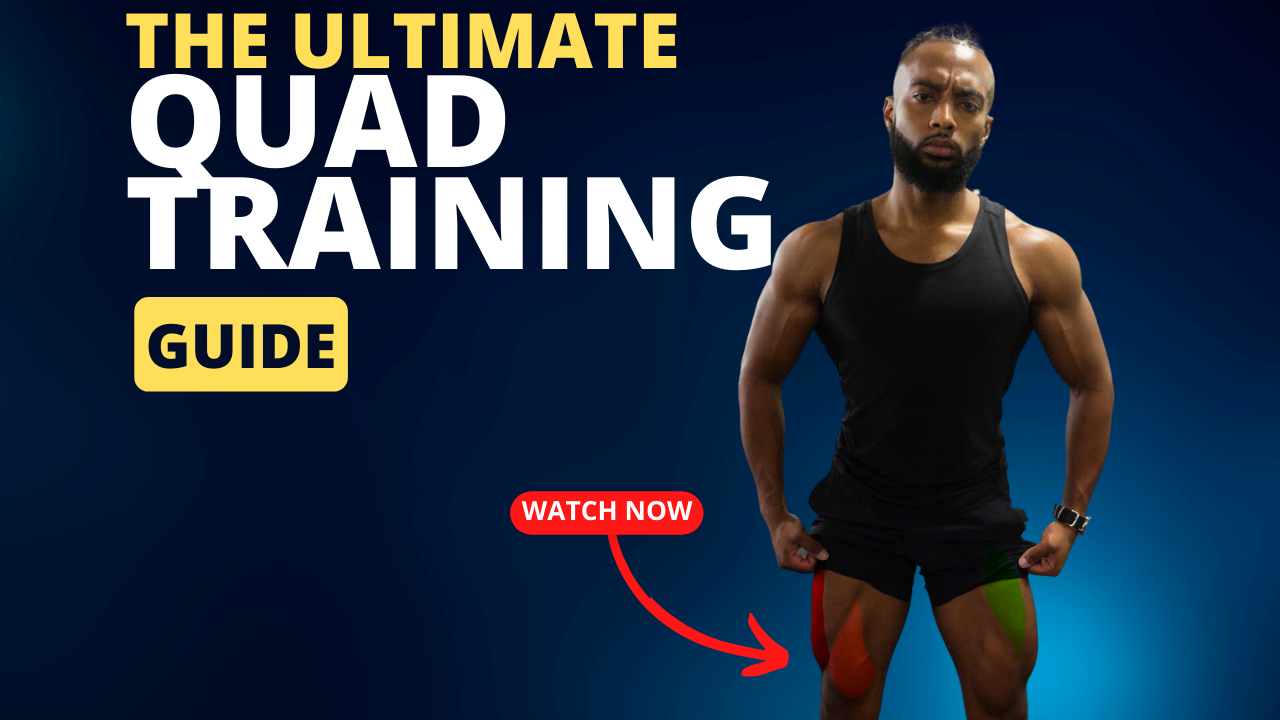 MuscleWiki - Simplify Your Workout