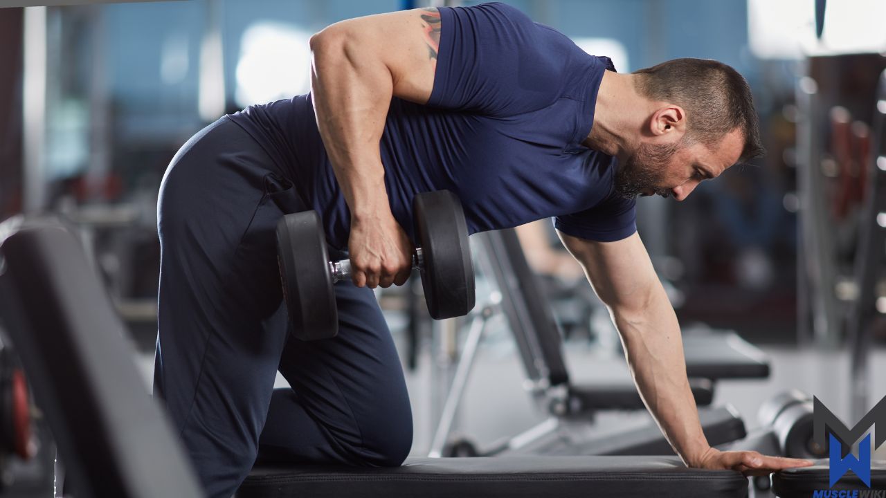 Upper-Lower Body Beginner Routine - MuscleWiki Routines